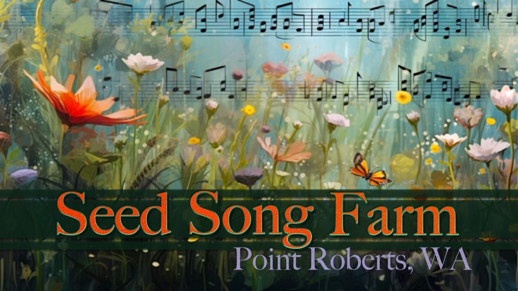 Point Roberts Library – Point Roberts Now